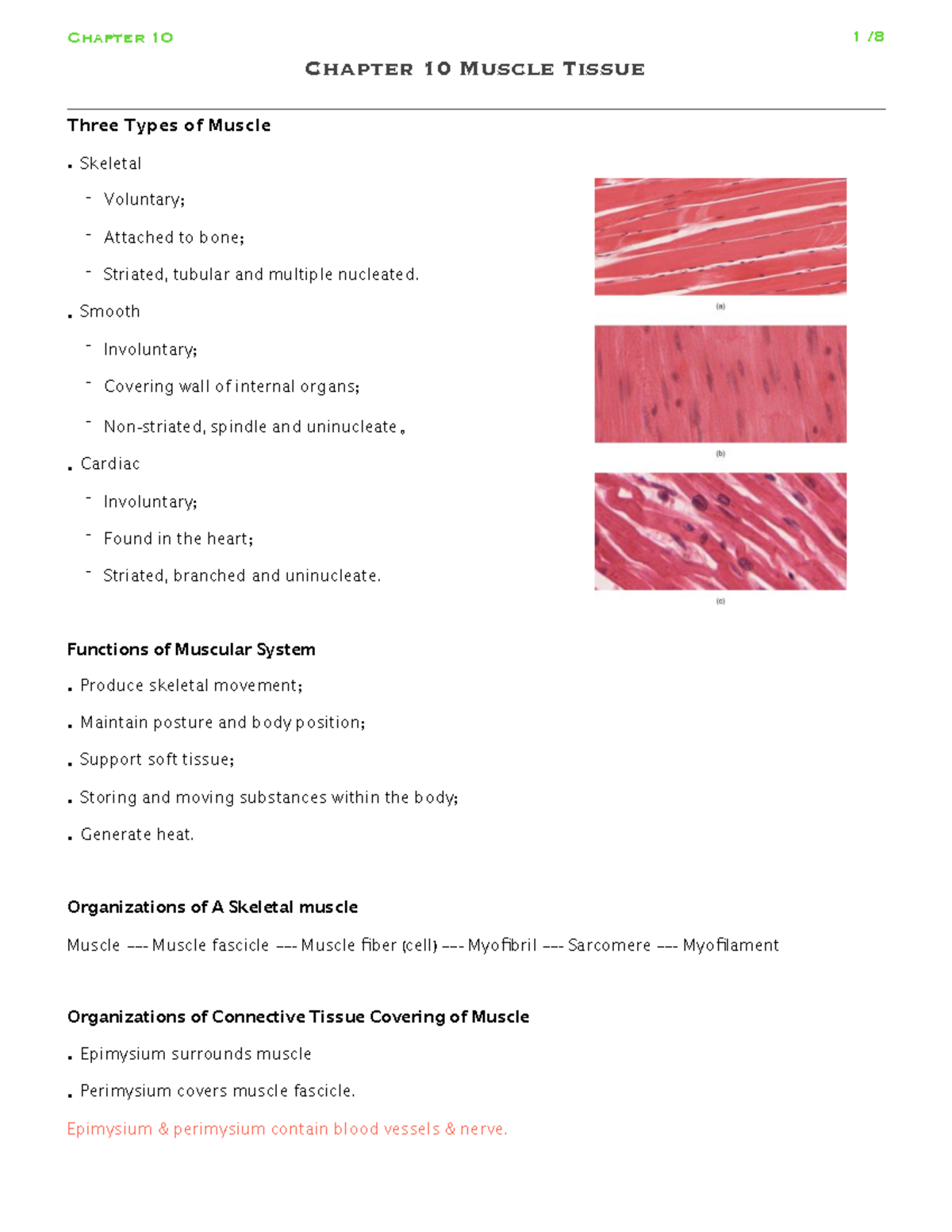 Types Of Muscle Tissue Worksheet