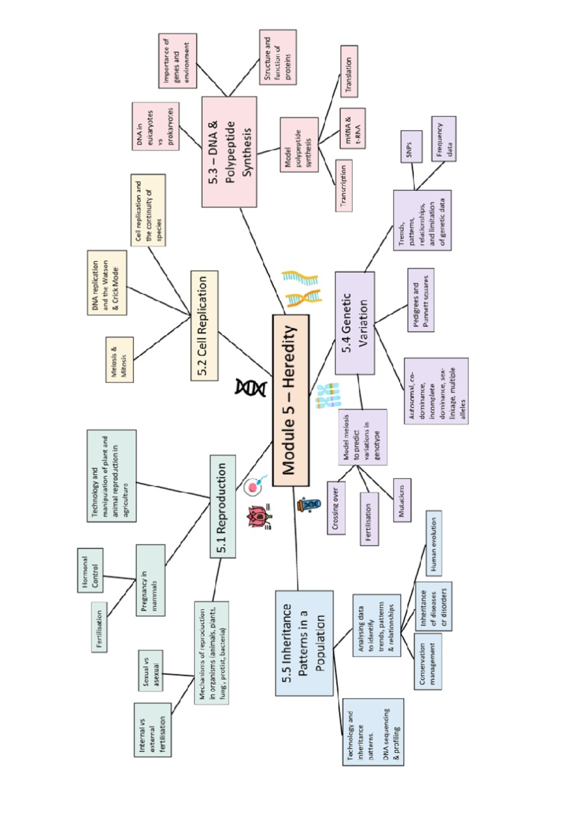HSC Biology Module Mind Maps and Quizes - Module 5 Quiz: What are the two types of fertilisation ...