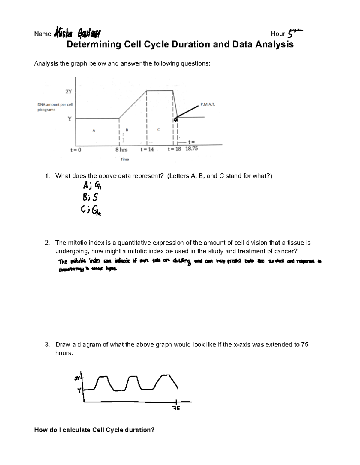 Determining Cell Cycle Duration and Data Analysis - Name - Studocu