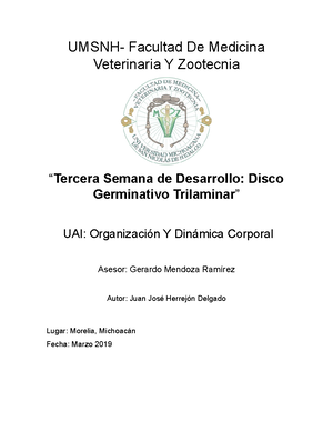 Taxonomía de las aves escrito - Taxonomía de las aves ¿Qué es la taxonomía? Del griego ταξις ...