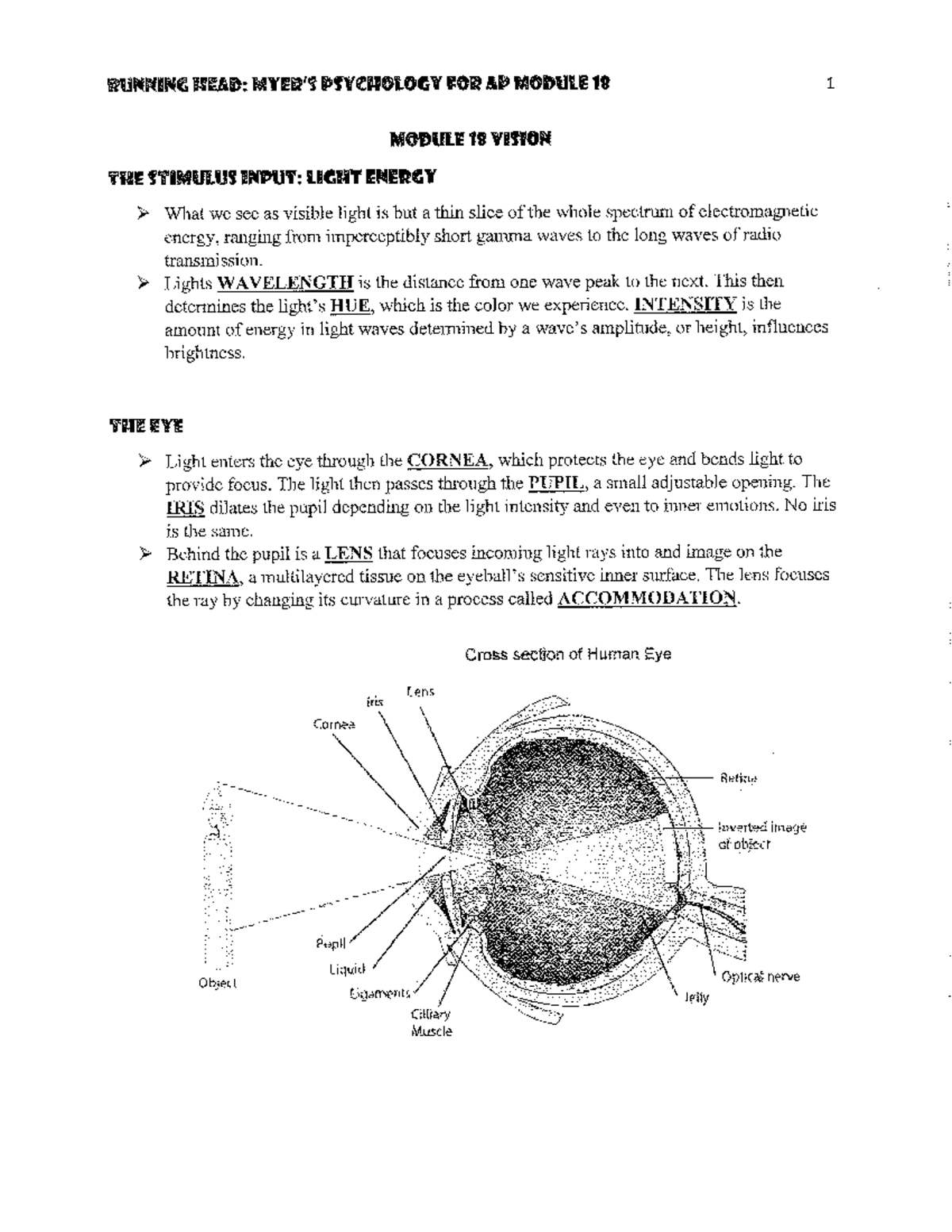 Module 18 - CHEAT SHEET - PSY 150 - Studocu