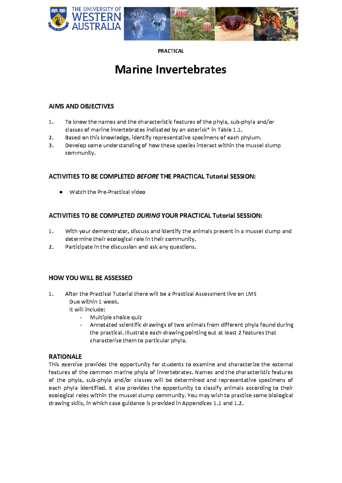 BIOL1131 Marine invertebrates lab - PRACTICAL Marine Invertebrates AIMS ...