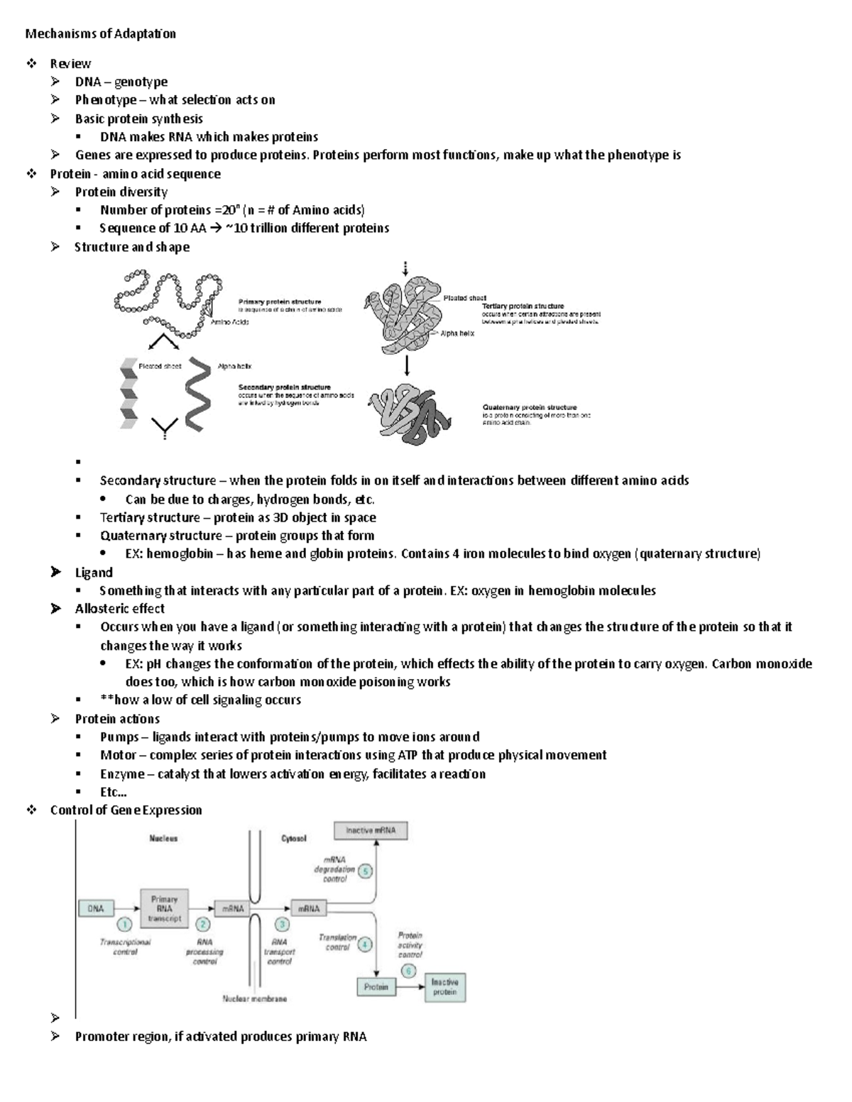 Chapter 2 - Lecture notes 3-6 - Mechanisms of Adaptation Review DNA ...