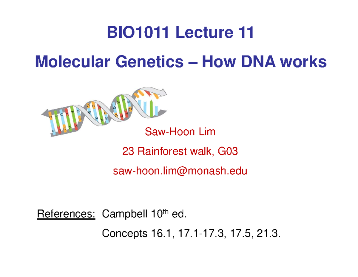 Lecture 11- 3:04:2017 BIO - BIO1011 Lecture 11 Molecular Genetics – How ...