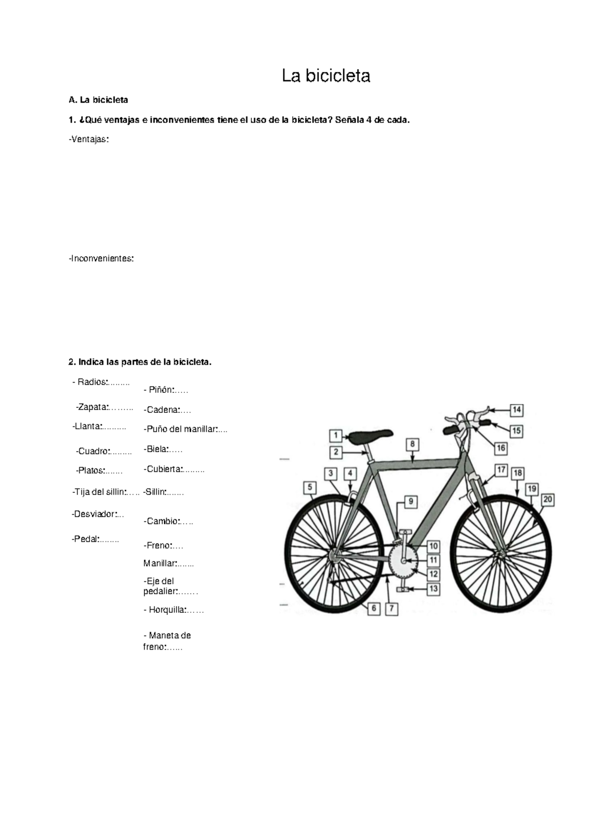 Teoría de la bicicleta - Apuntes de la bicileta - La bicicleta A. La ...
