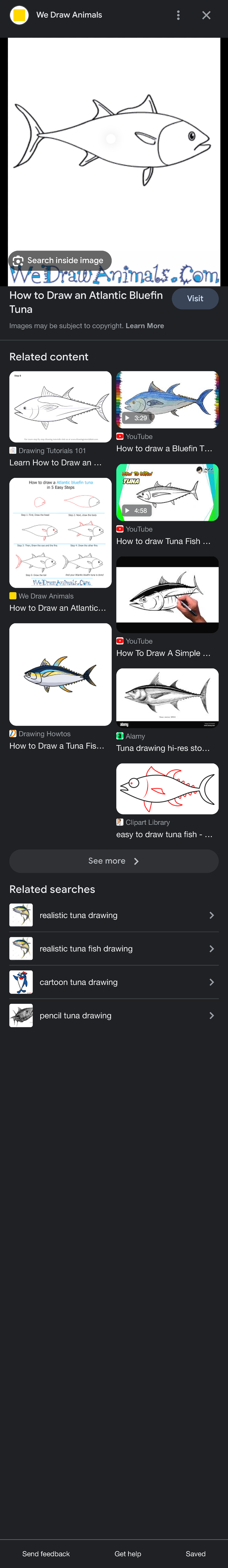 How to draw a bluefin tuns - Google Search - Showing results for how to ...