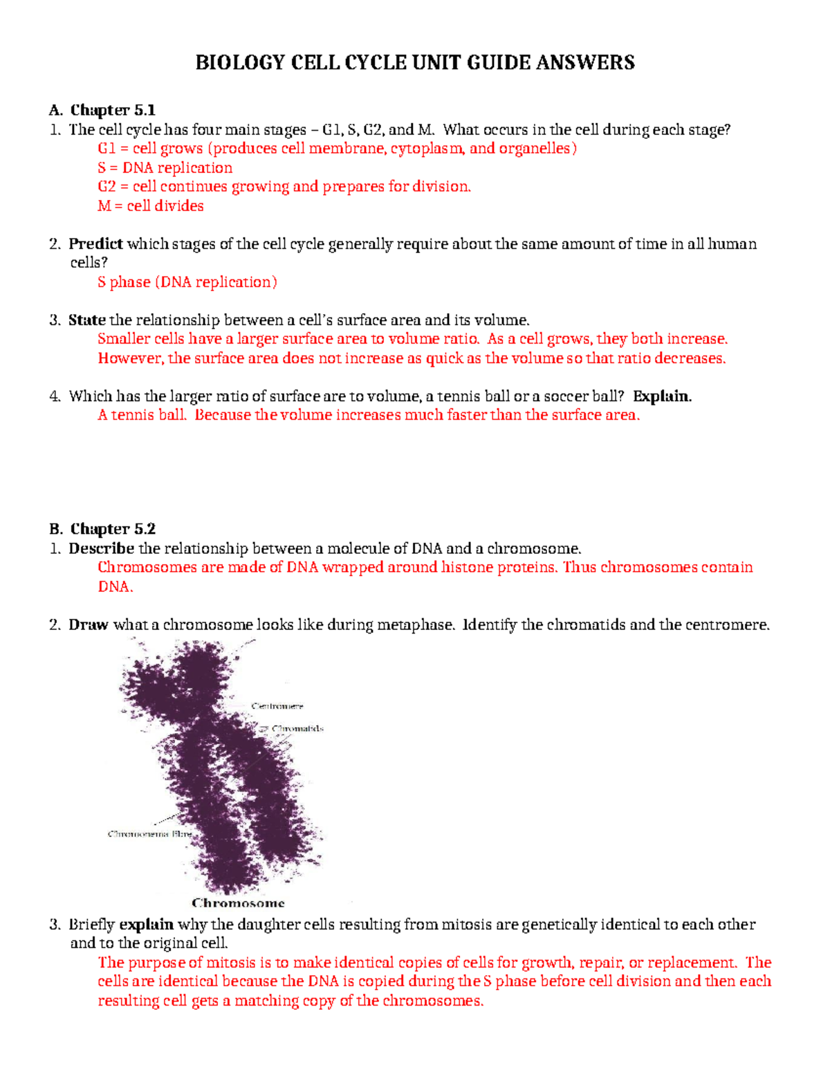 Cell cycle and meiosis unit guide answers - BIOLOGY CELL CYCLE UNIT ...