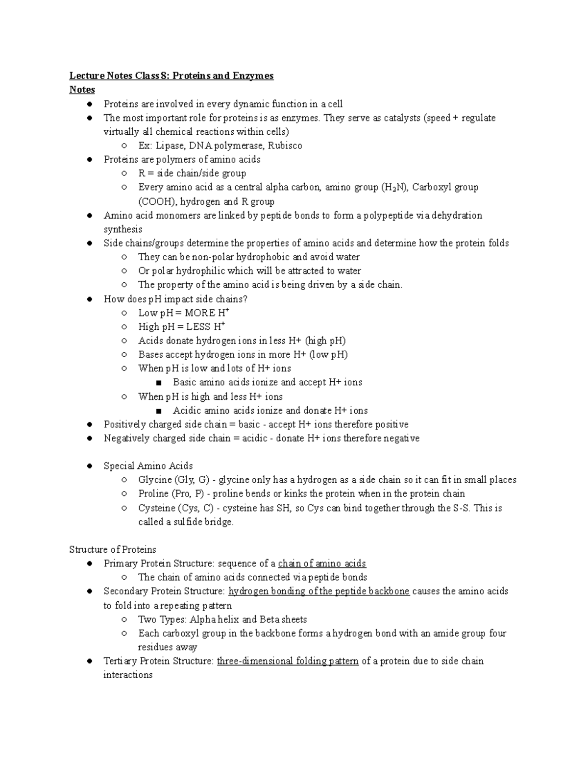 Class 8 Proteins and Enzymes - Lecture Notes Class 8: Proteins and ...