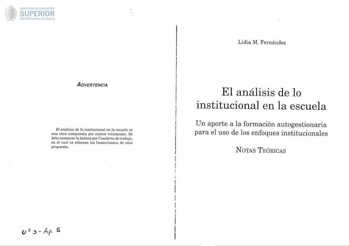 Analisis institucional lidia fernandez - Práctica Docente y ...