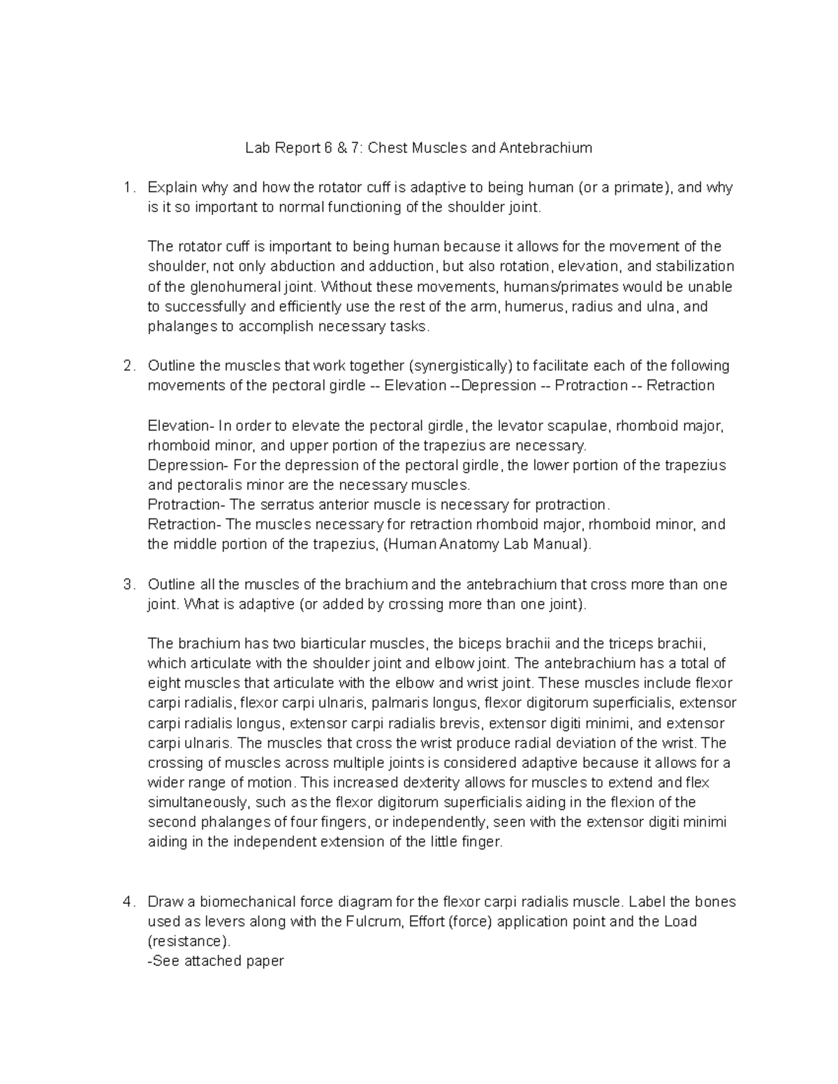 Lab Report 6&7 Chest Muscles and Antebrachium - Lab Report 6 & 7: Chest ...
