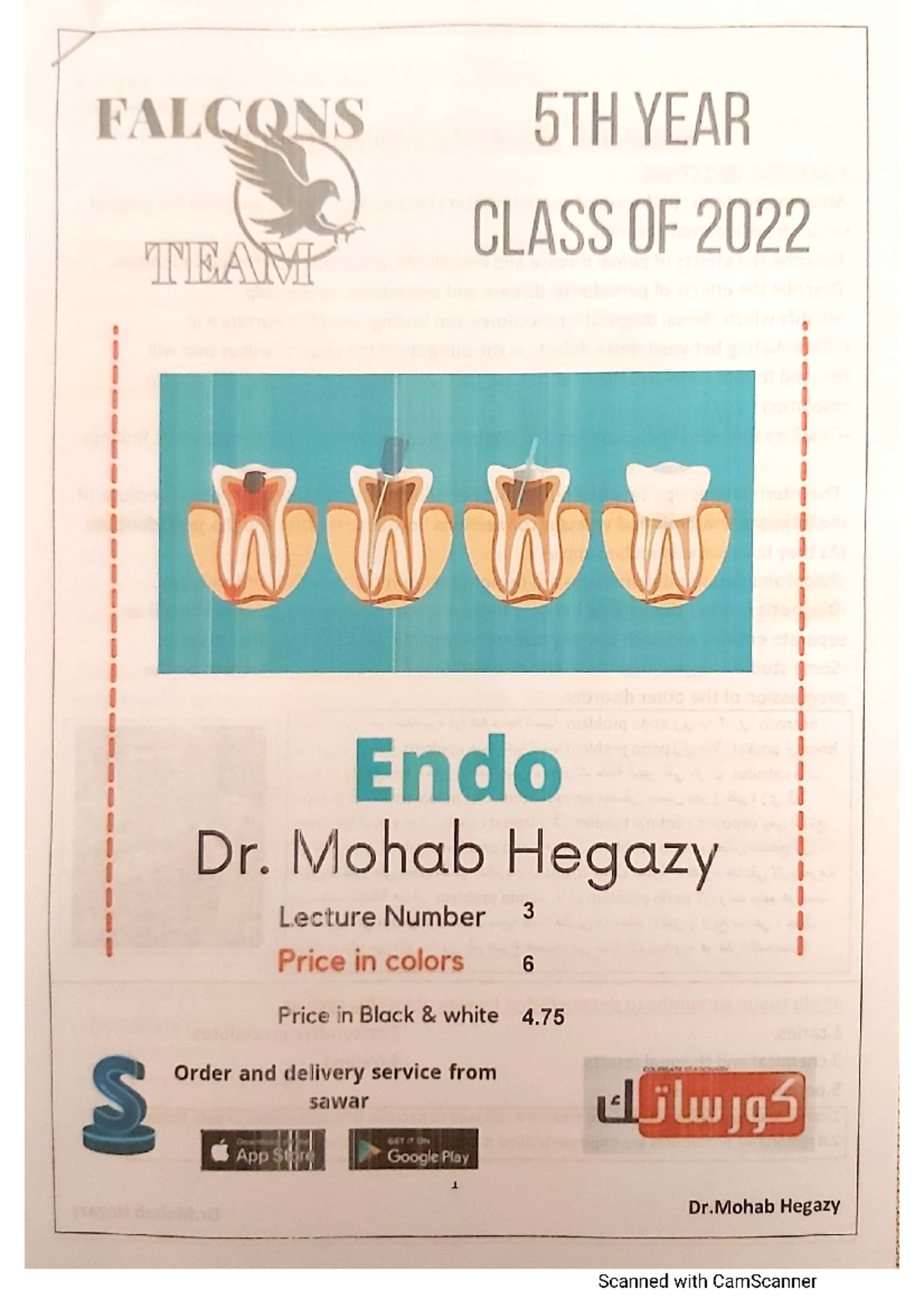 Endo 3 - dental anatomy - Studocu