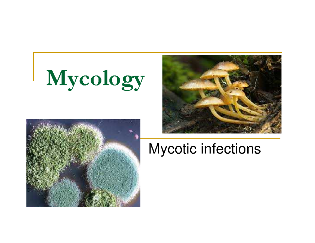 Downloadfile-6 - pharmaceutics - Mycology Mycotic infections Mycology ...