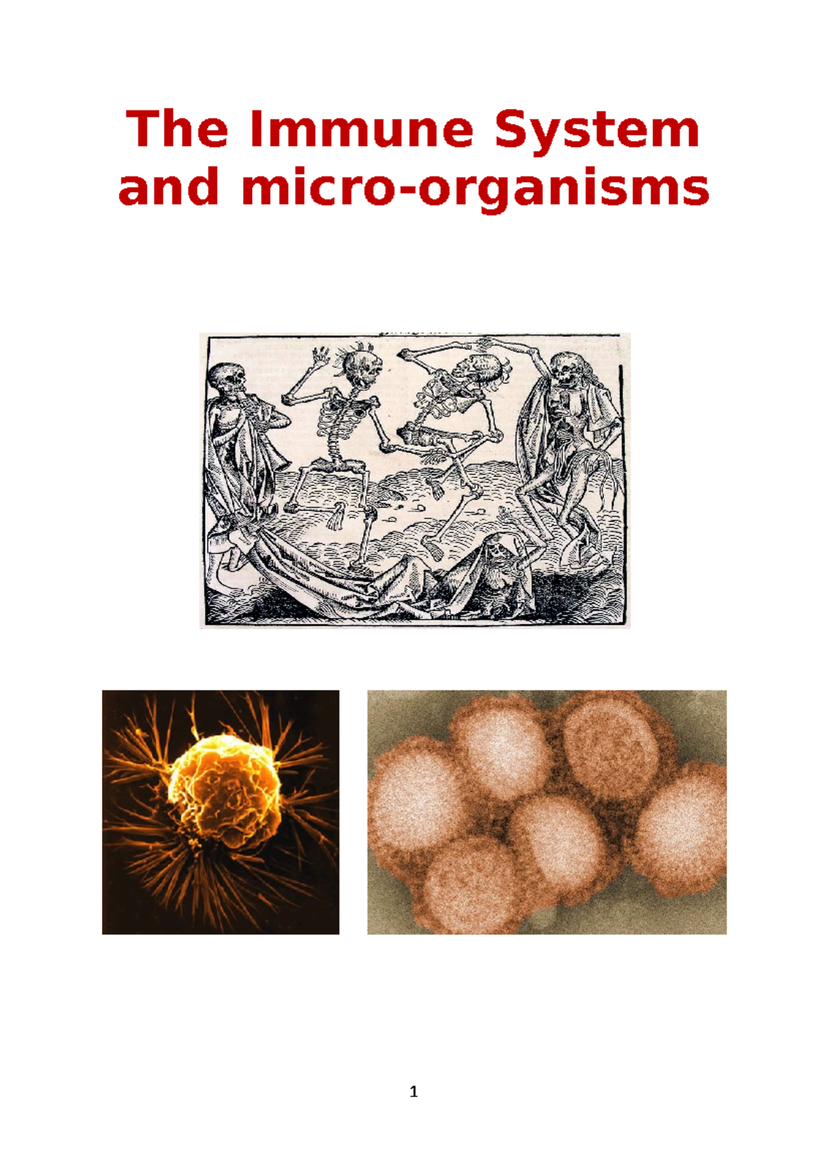 The immune system introduction - The Immune System and 1 Objectives ...