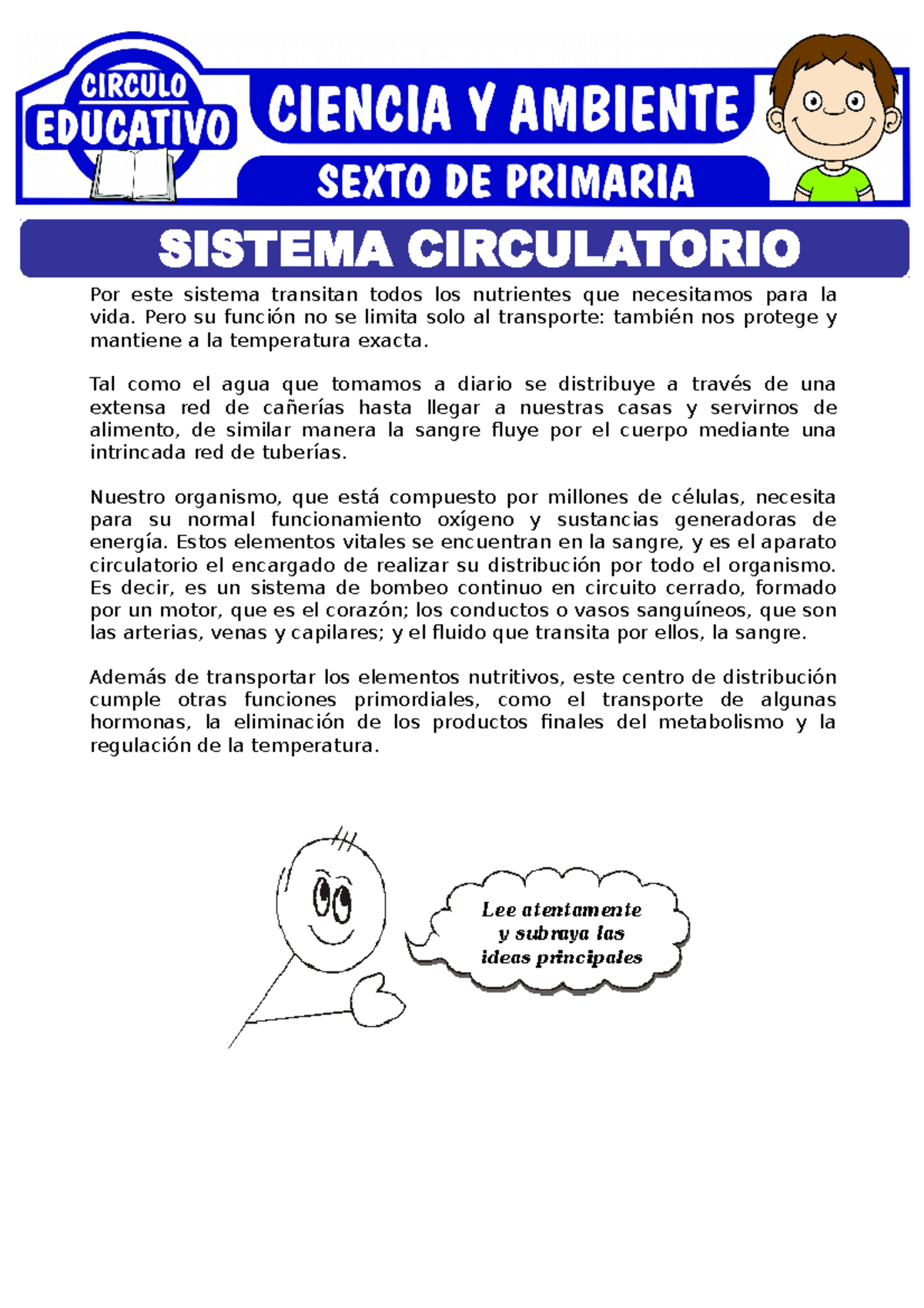 Sistema Circulatorio para Sexto de Primaria - Por este sistema ...