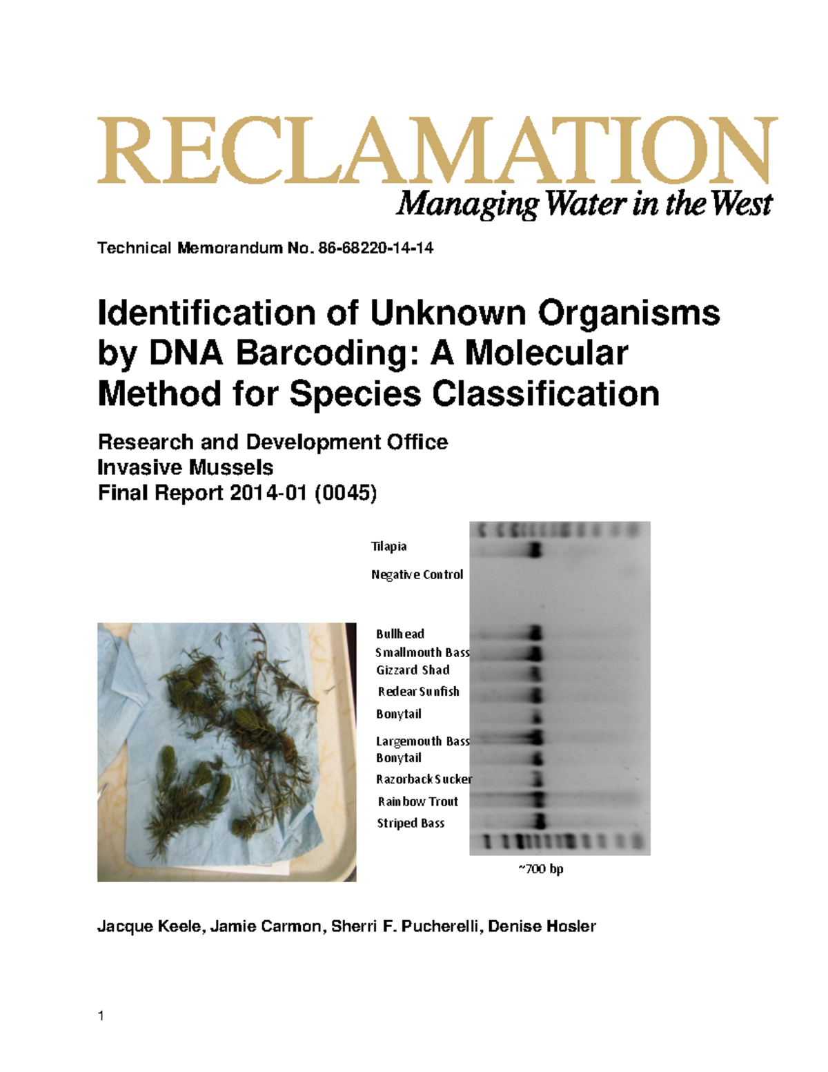 Identification of unknown organisms by dna barcoding a molecular method ...