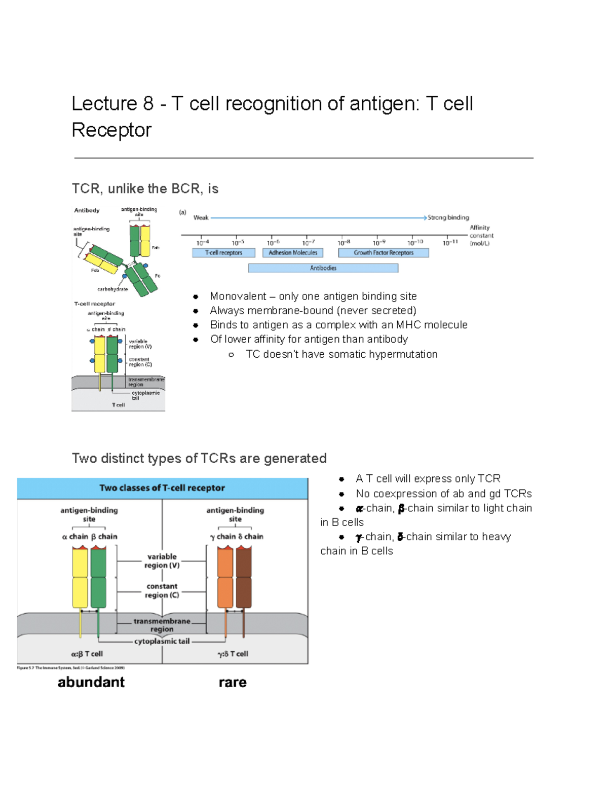 BICD 140 MT2 - midterm review notes - Lecture 8 - T cell recognition of ...