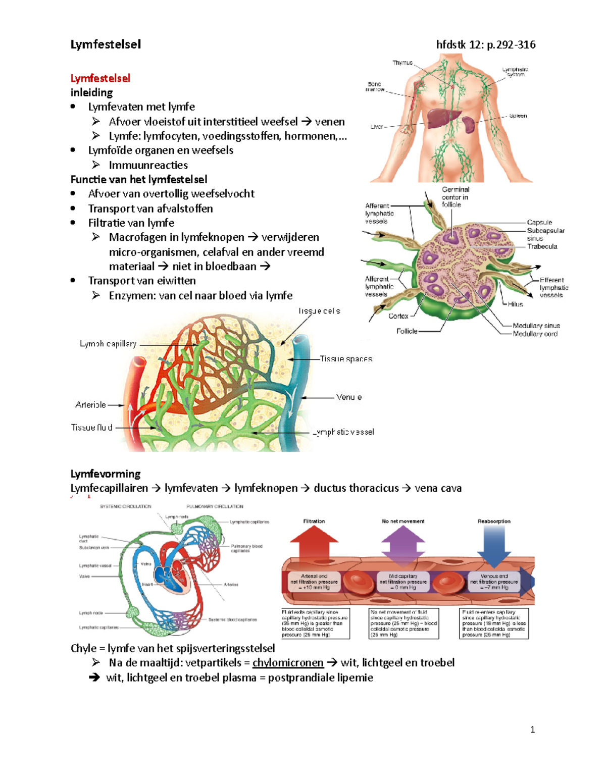 Bloed & lymfe - Lymfestelsel hfdstk 12: Lymfestelsel inleiding ...