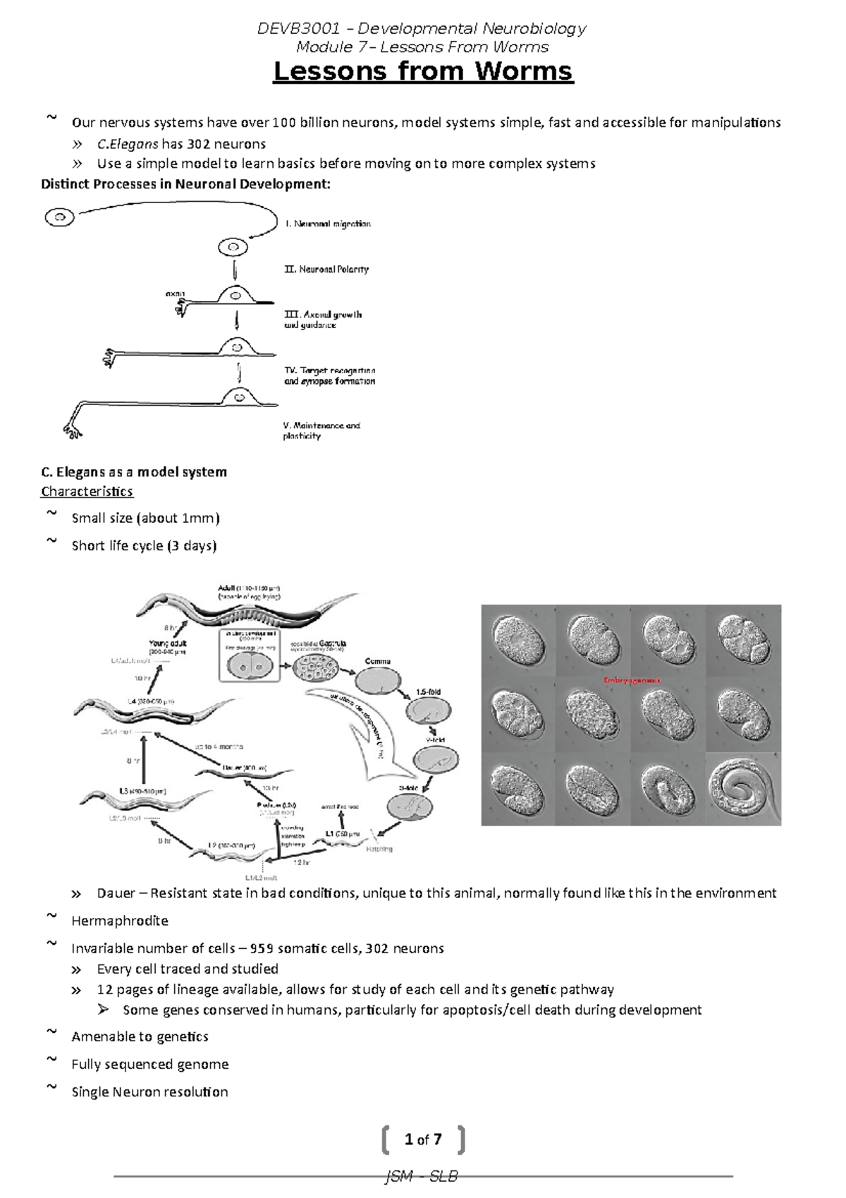 Developmental Neurobiology - Module 7 - Lessons From Worms - DEVB3001 ...