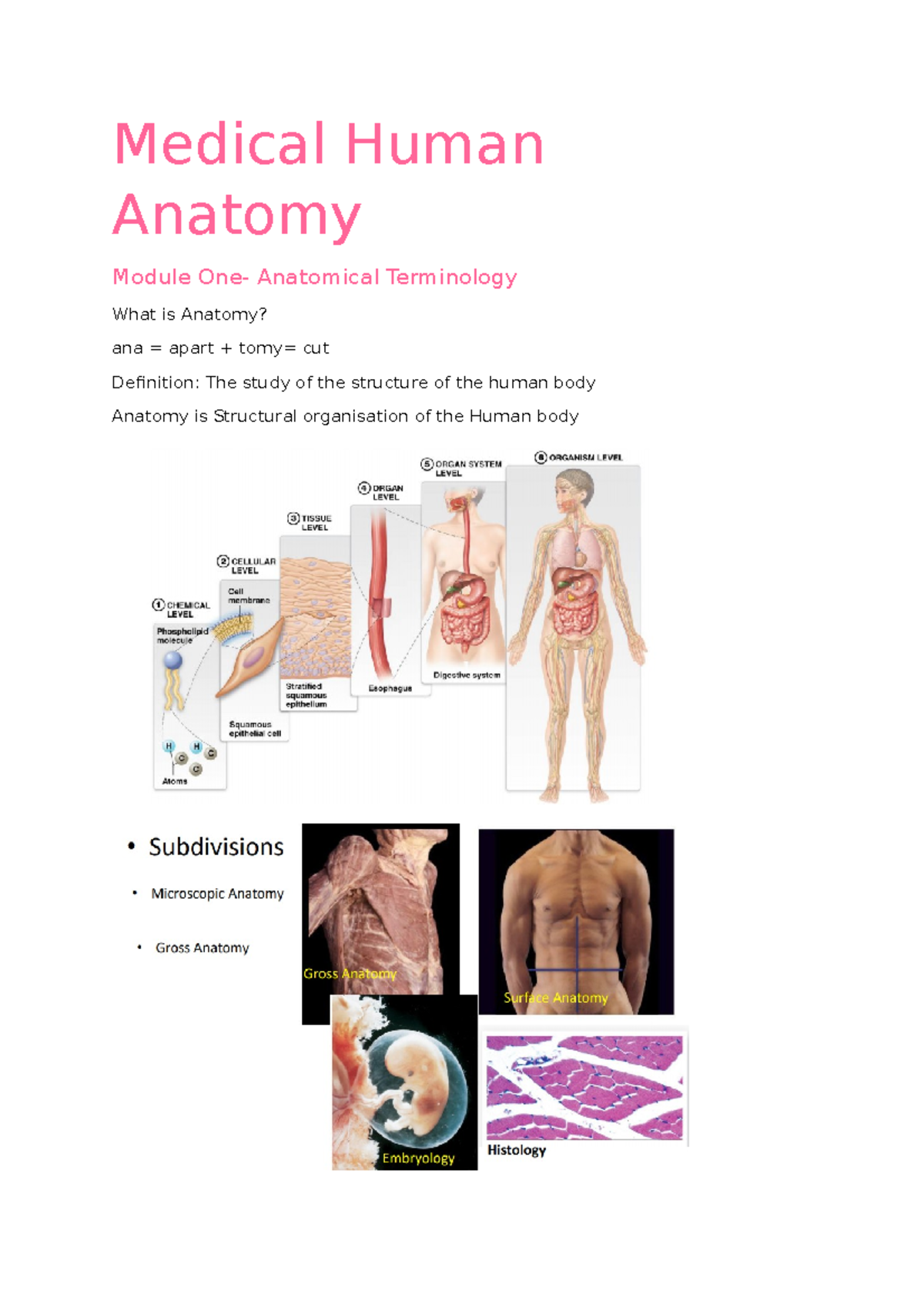 Medical Human Anatomy - Medical Human Anatomy Module One- Anatomical ...