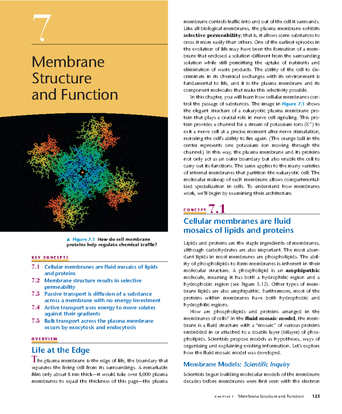 Ch7 - Textbook - C H A P T E R 7 Membrane Structure and Function 125 K ...