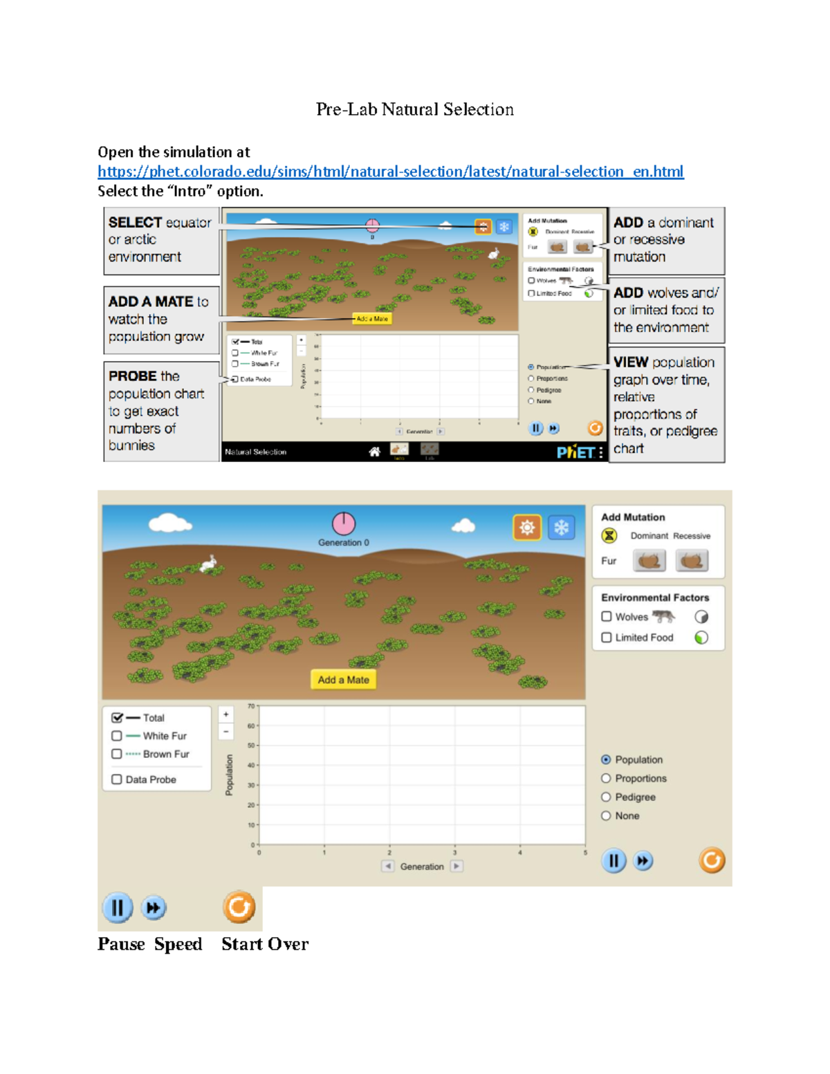 Lab #6 Pre-Lab - Pre lab for bunny blitz simulation - BIOL 101 - Pre ...