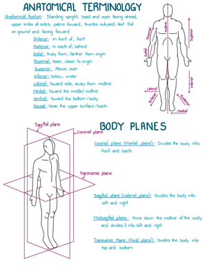 Fundamentals of Nursing Notes - Chapter 49 - Sensory Alterations ...