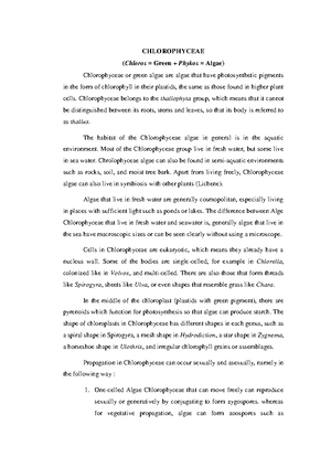 Botany Cryptogamae 03 Chrysophyceae - CHRYSOPHYCEAE (Chrysos = Gold ...