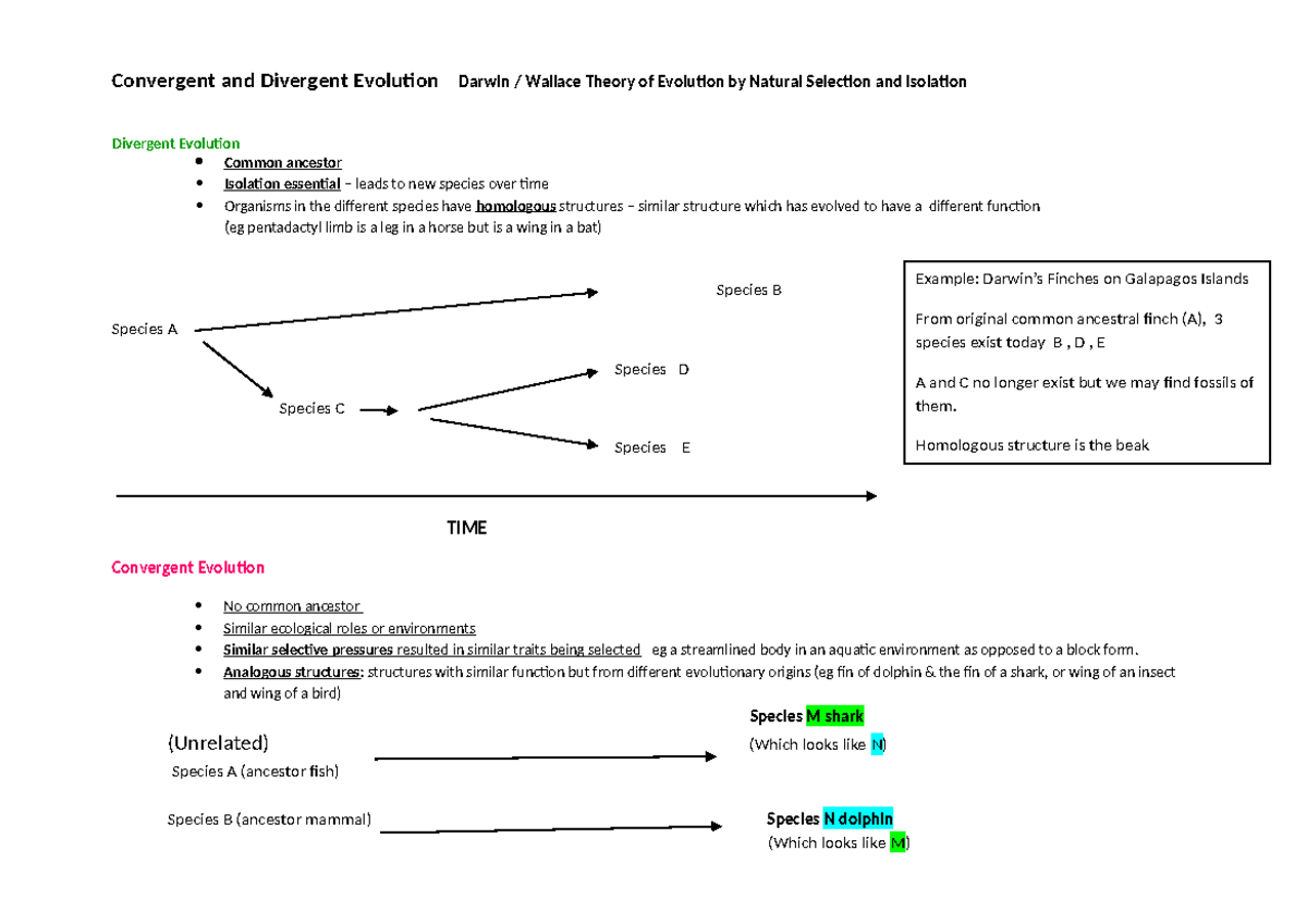 Convergent and Divergent Evolution - Analogous structures: structures ...