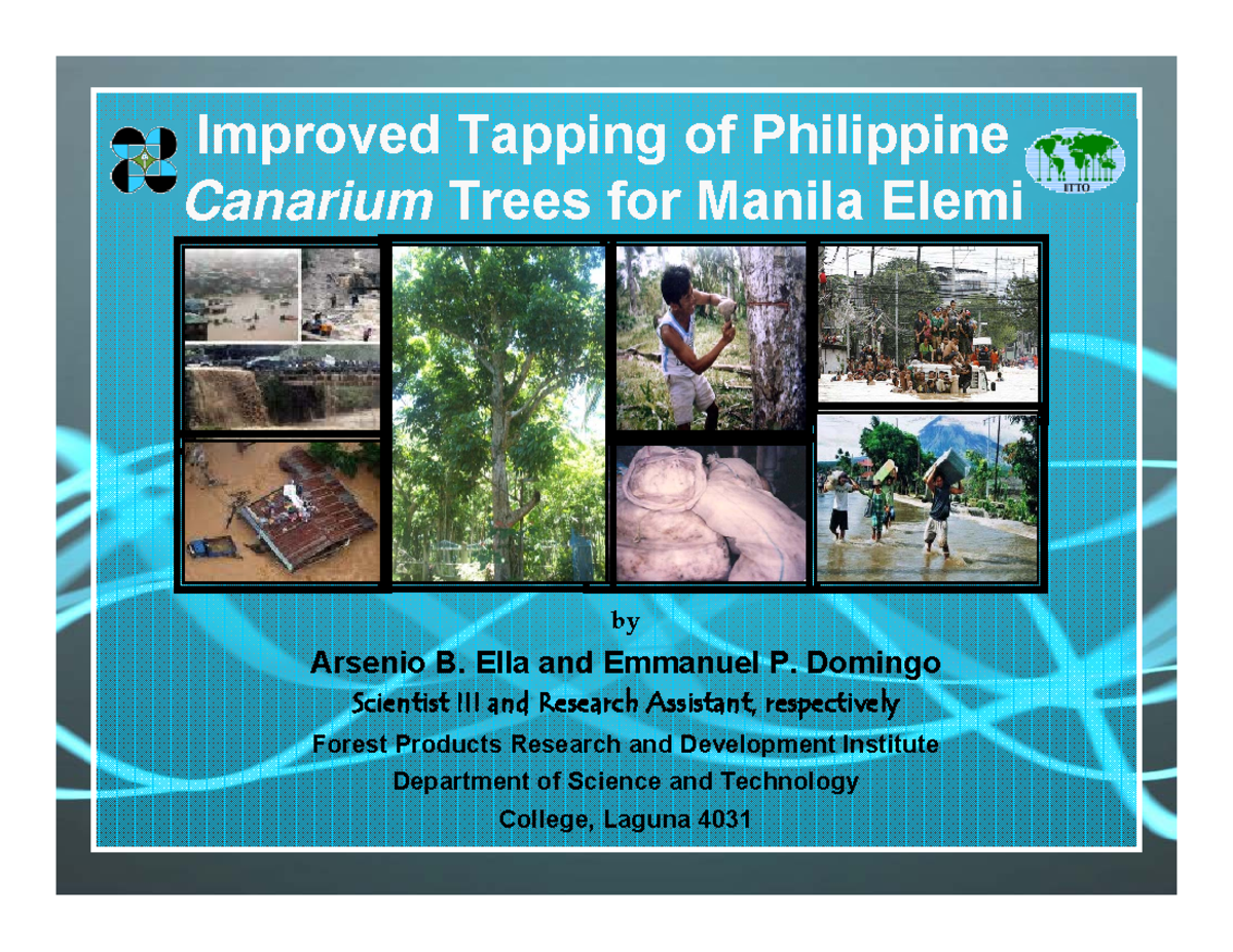 Improved Tapping of Philippine Canarium Trees for Manila Elemi ...