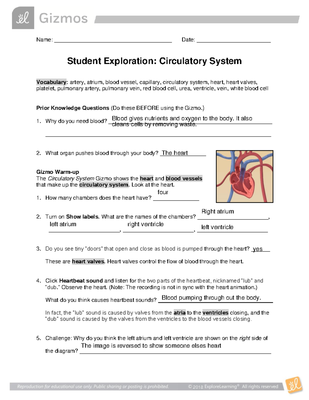 Circulatory System SE - West orange high - Studocu