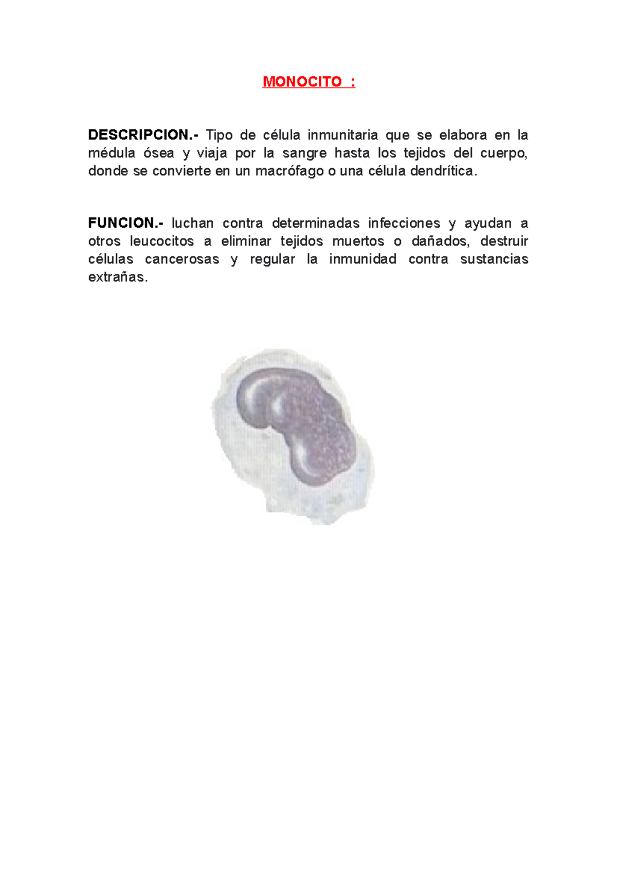 Tarea celulas sanguineas - MONOCITO : DESCRIPCION.- Tipo de célula ...
