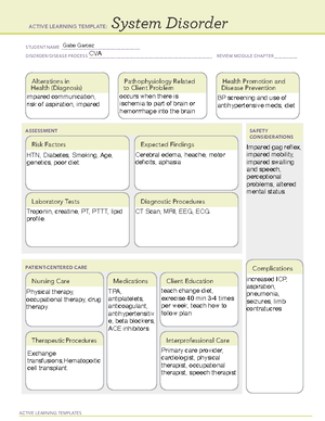 System Disorder Active Learning Template - ACTIVE LEARNING TEMPLATES ...