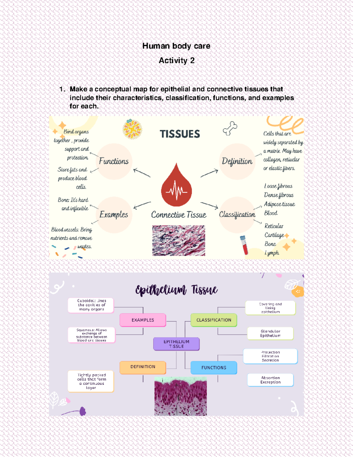 Human body care - Activity 2 - Human body care Activity 2 1. Make a ...