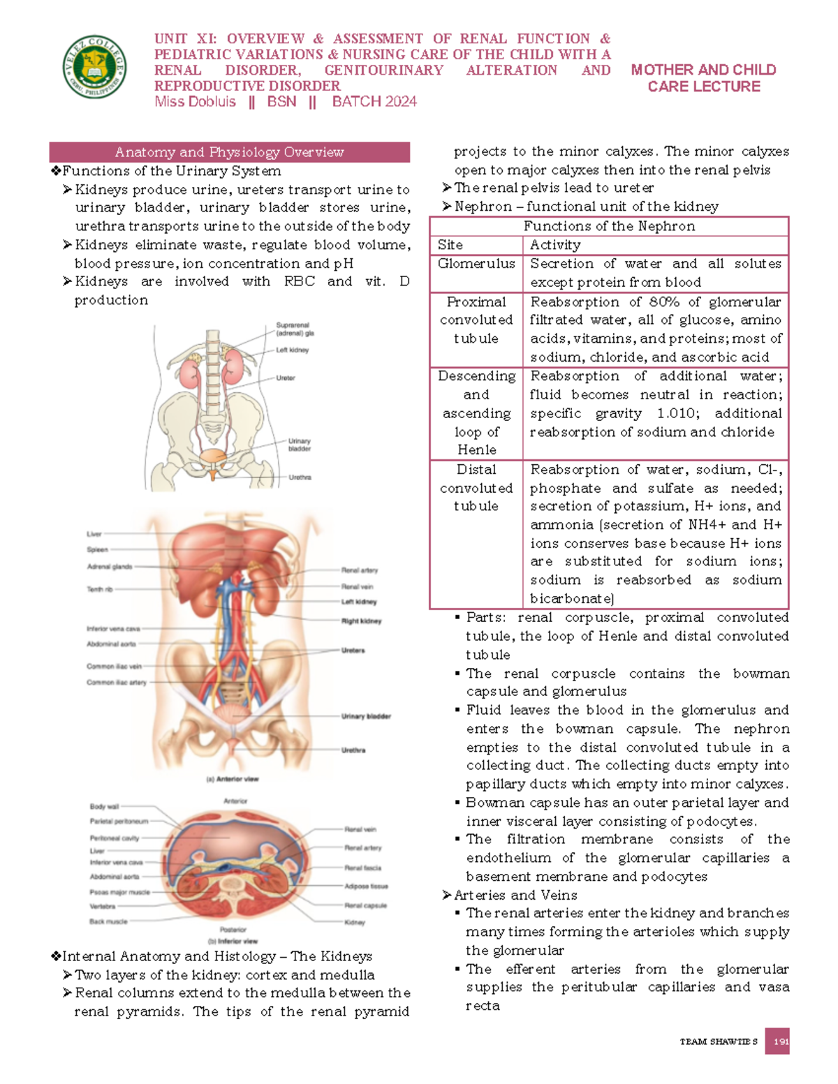 UNIT XI Overview Assessment OF Renal Function Pediatric Variations ...
