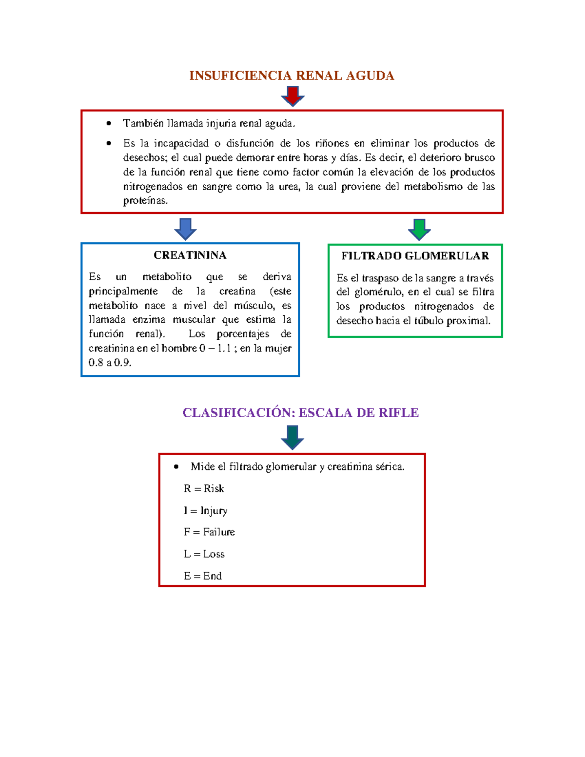 Insuficiencia Renal Aguda - INSUFICIENCIA RENAL AGUDA CLASIFICACIÓN ...