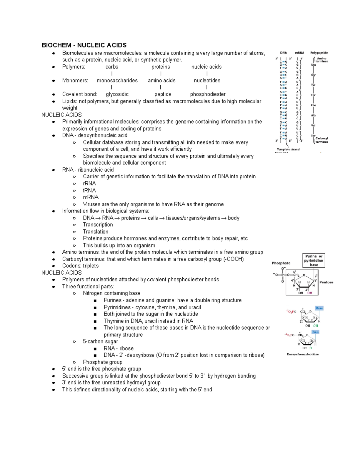 Biochem 7 - Nucleic Acids - BIOCHEM - NUCLEIC ACIDS Biomolecules are ...