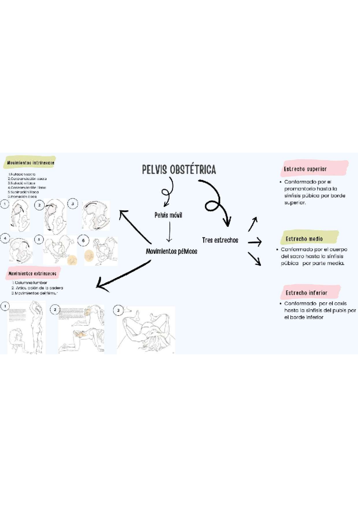 2 - mapas - Obstetricia - Studocu