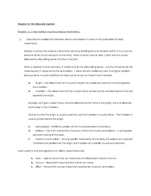 Chapter 4 A&P - tissue - CHAPTER 4 Connective Tissue 4 Epithelial ...
