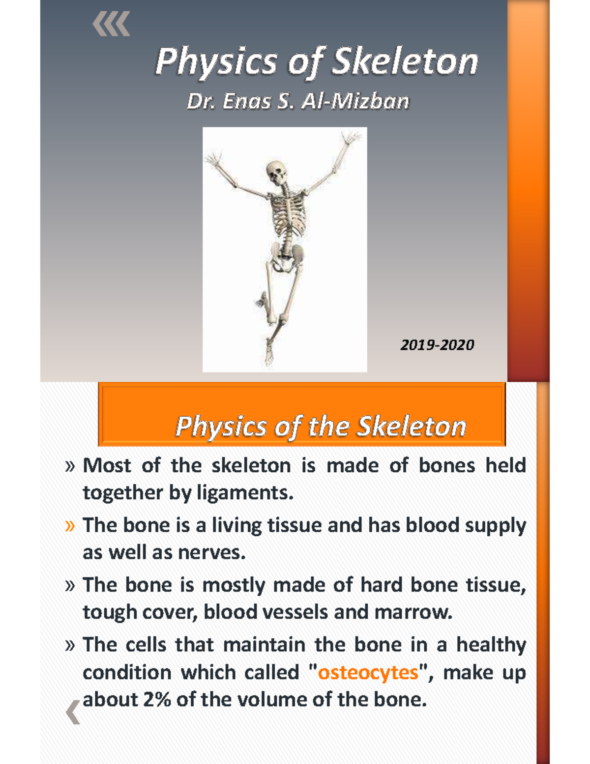 Physics of skeleton - 2019- » Most of the skeleton is made of bones ...