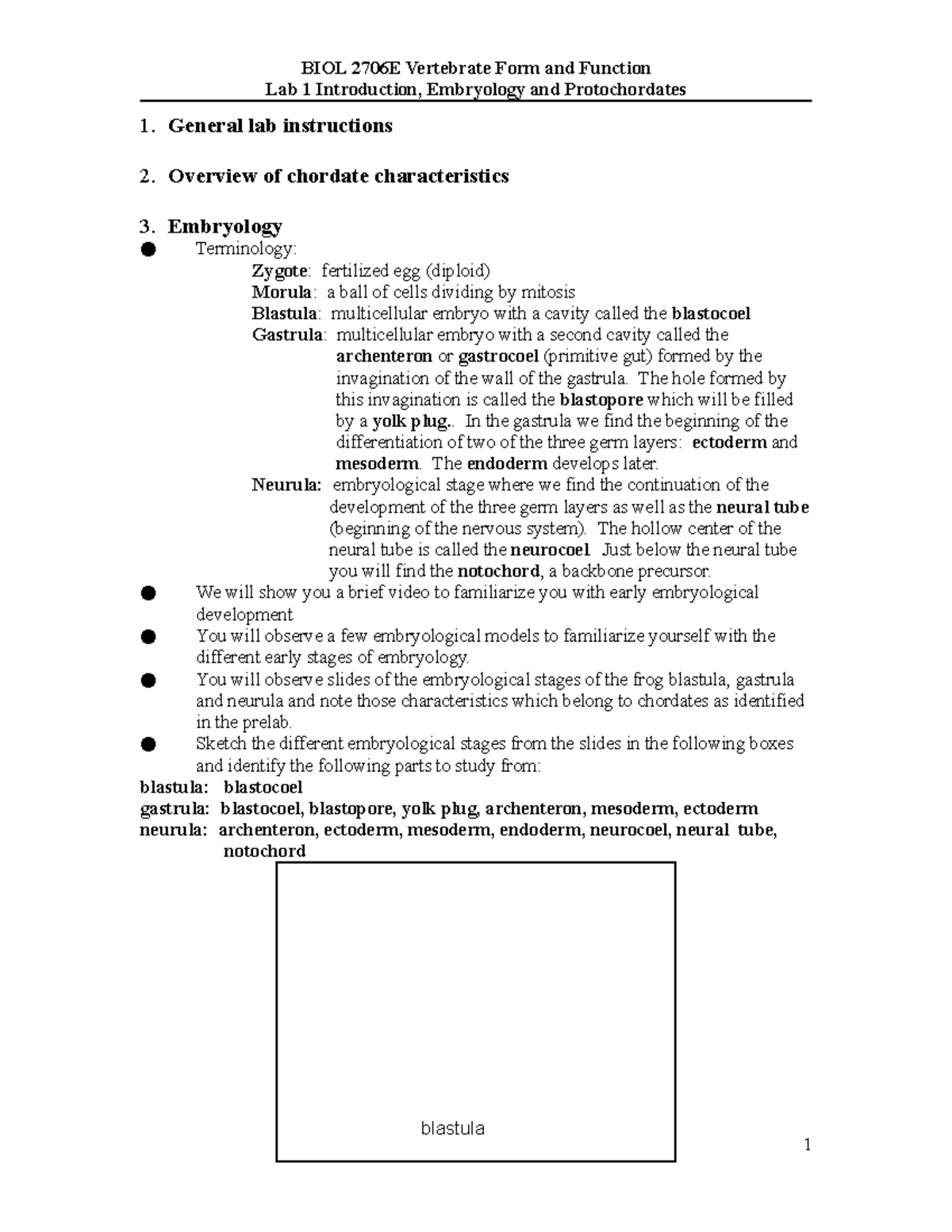 Lab 1 Introduction Embryology And Protochordates Doc 1 Lab 1 Introduction Embryology And
