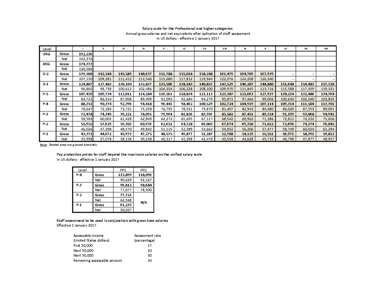 P and above salary scale 01 2017 - Salary scale for the Professional ...
