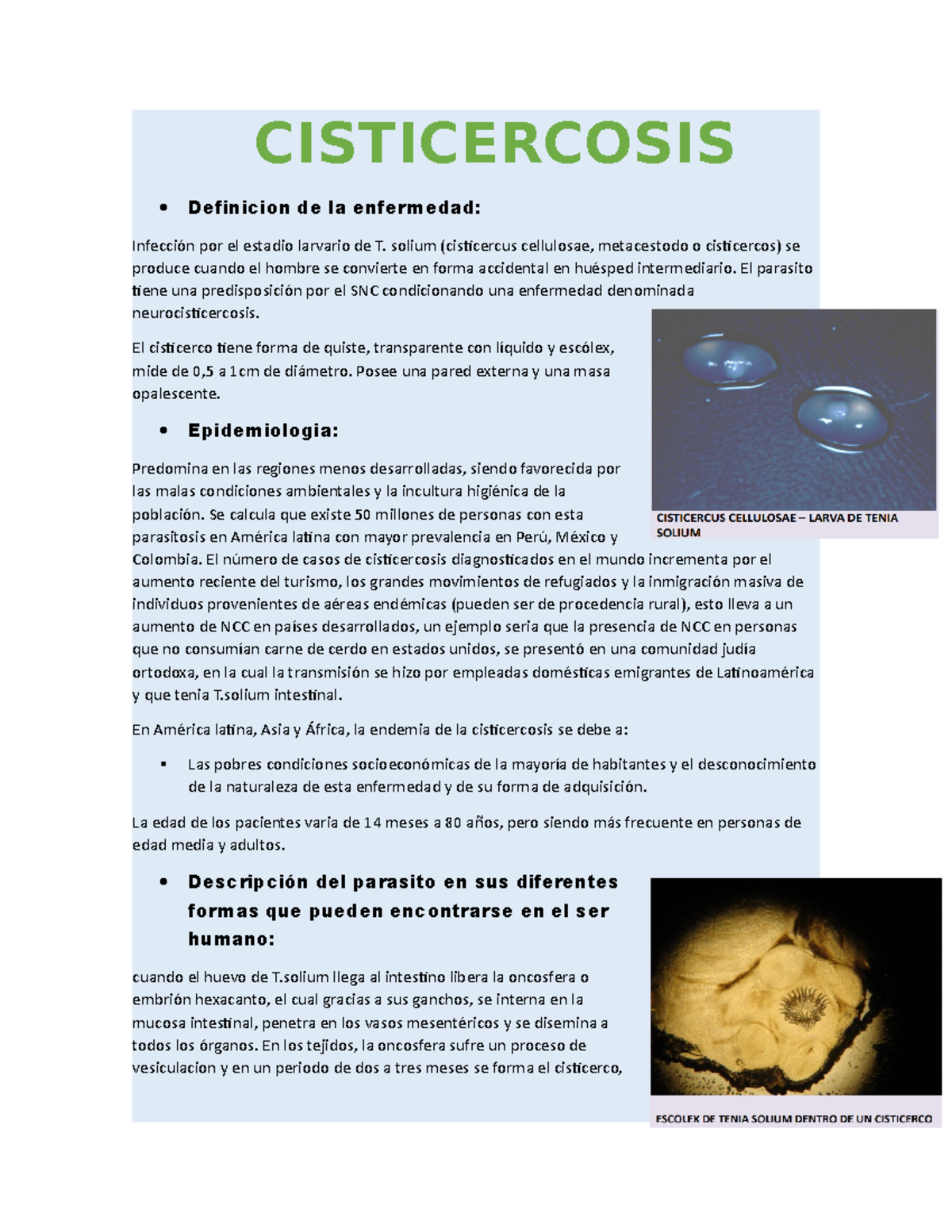 Cisticercosis producida por metacestodo o cisticerco - CISTICERCOSIS ...
