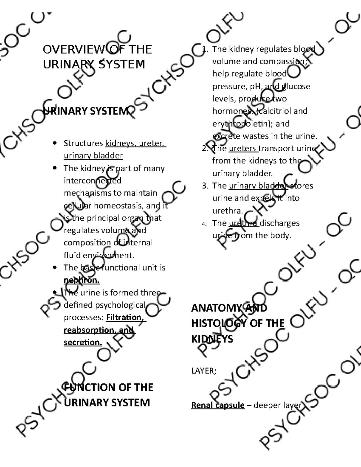 Urinary- System- Reviewer - OVERVIEW OF THE URINARY SYSTEM URINARY ...