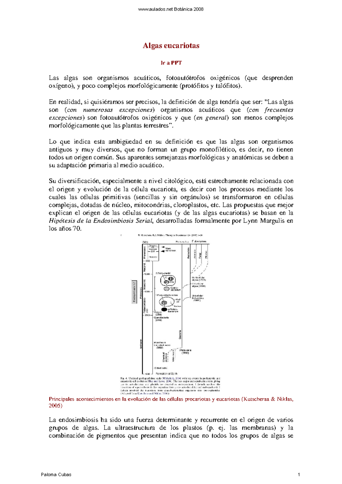4 Algas texto - mxmmx - Algas eucariotas Ir a PPT Las algas son ...