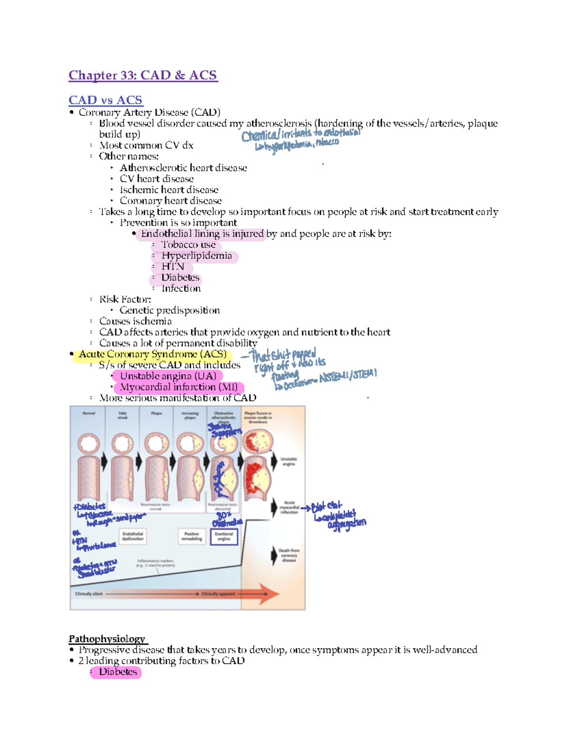 MS II EXAM 1 - my own person typed out notes from lecture and the ...