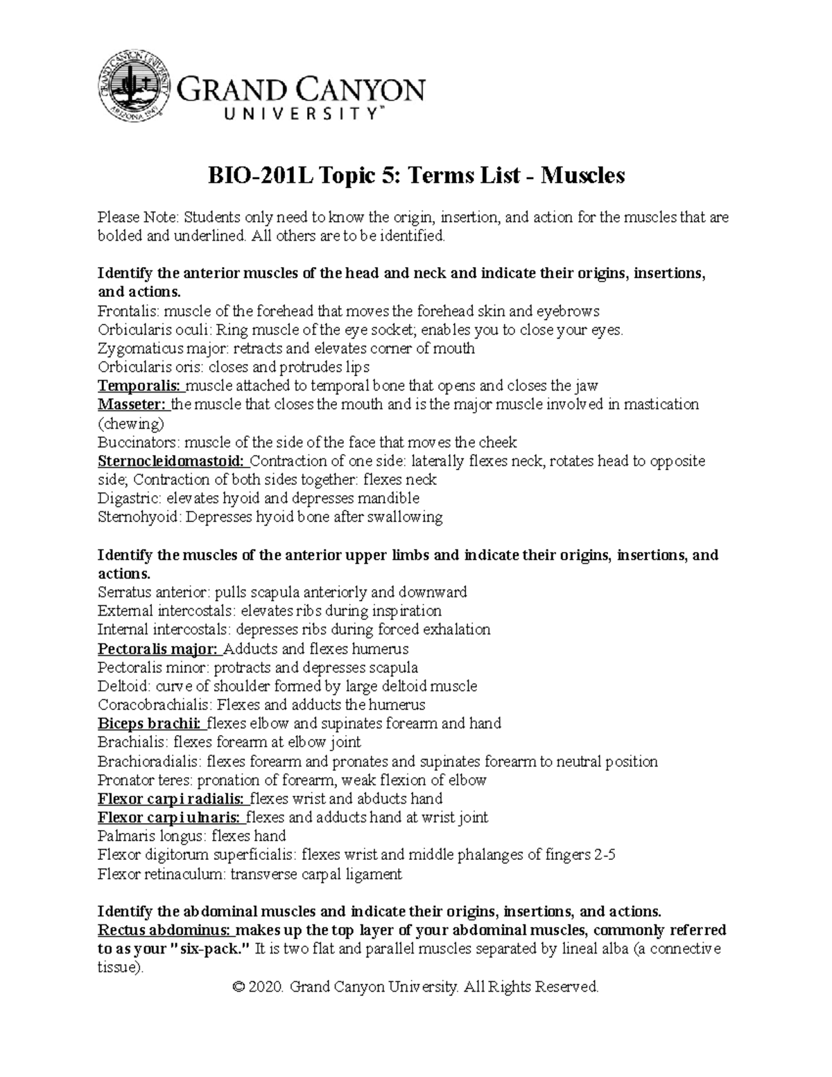 Vocab 5 - vocal - BIO-201L Topic 5: Terms List - Muscles Please Note ...