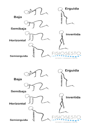 Flustration Diagram - ..... - The Y.W.C. The ethnic breakdown in 2000 ...
