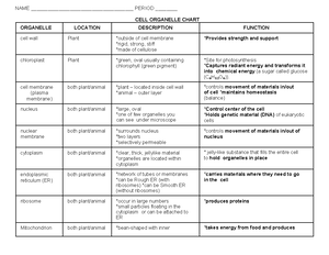 Copy of Prokaryote and Eukaryote Cells Web Quest Student Handout R1018 ...