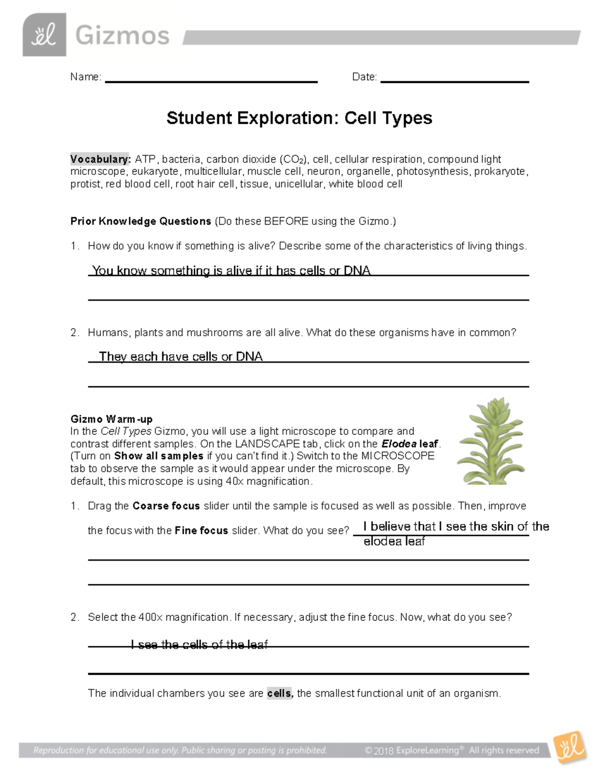 Cell Types Gizmo 2023-2023 - Name: Date: Student Exploration: Cell ...