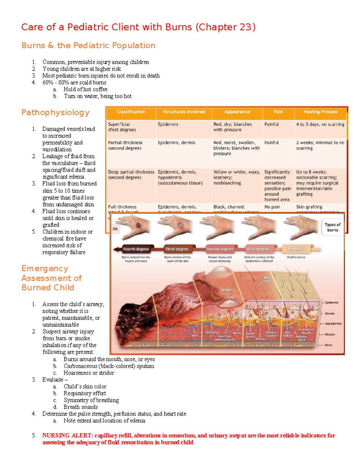 Burn Notes - Care of a Pediatric Client with Burns (Chapter 23) Burns ...